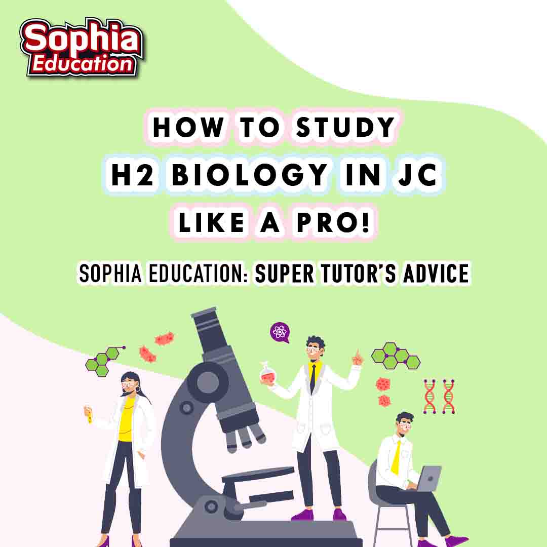 How To Study H2 Biology In JC Like A Pro - Sophia Education