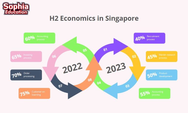 Introduction To H2 Economics In Singapore: 16 Tips
