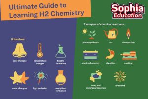 Ultimate Guide To Learning H2 Chemistry | Sophia Education